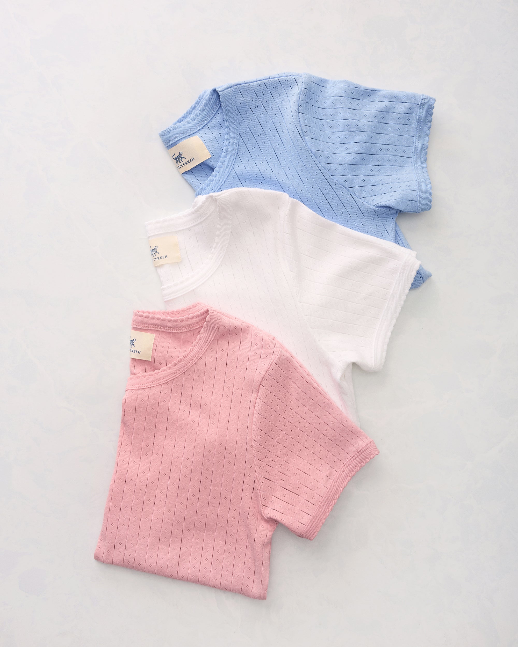 3-Piece Pointelle Tee Bundle - Multi – Printfresh
